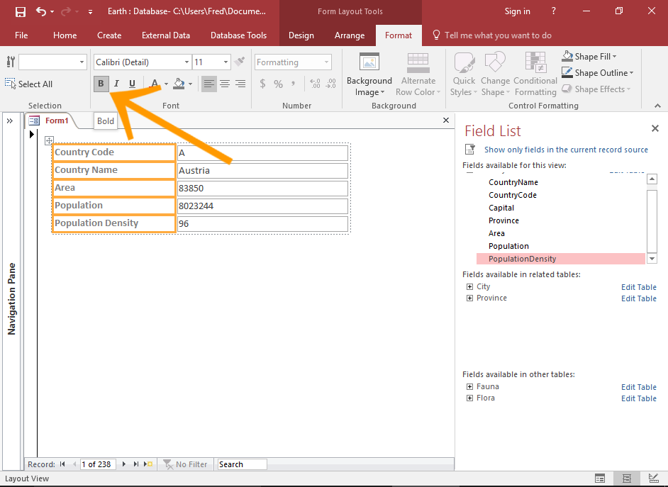 How to Create a Blank Form in Access 2016